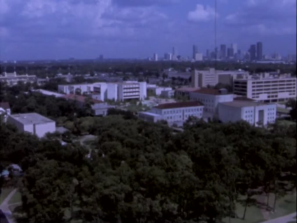 University of Houston central campus - University of Houston Libraries ...
